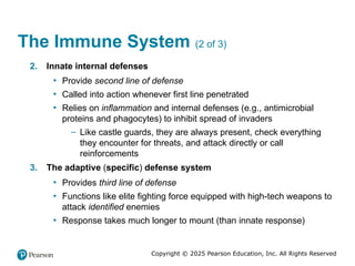 Chapter 21 the immune system anatomy and physiology | PPTX