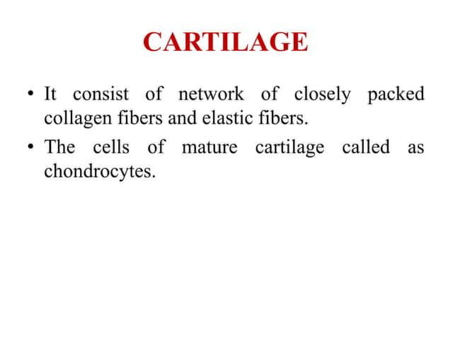 HAP 1 unit human tissue bpharm sem 1 ppt | PPT