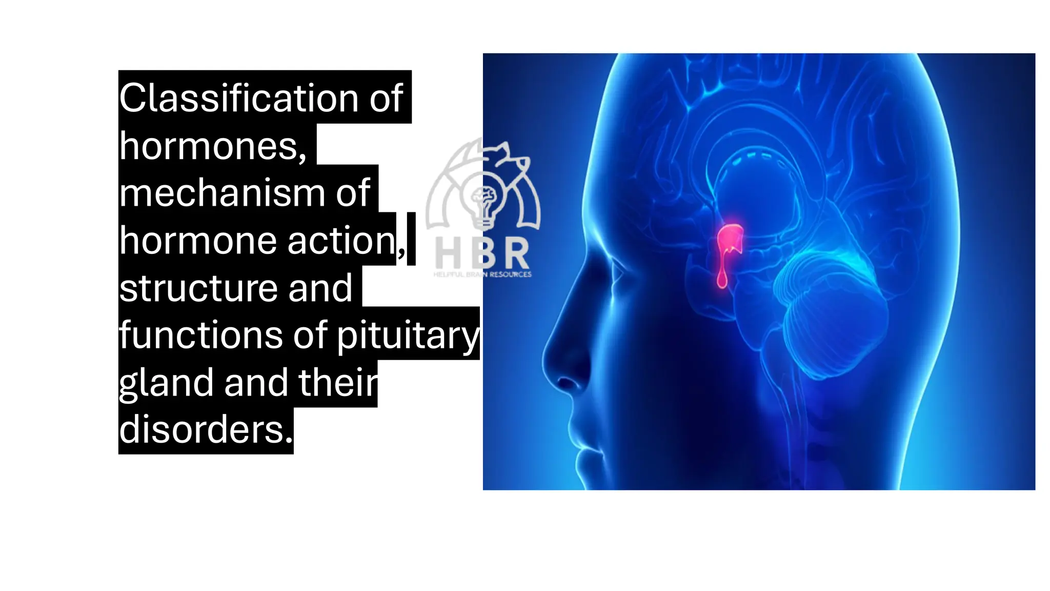 PITUITARY GLAND(MASTER CONTROLLER).pdf: >HBR. | PDF