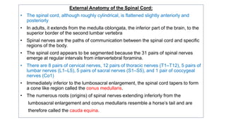 HAP 3 semester 2 bpharmacy as per pci syllabus | PPTX