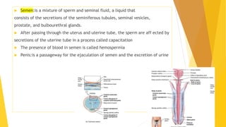 HAP 8 semester 2 PCI FIRST YEAR BPHARMACY | PPTX