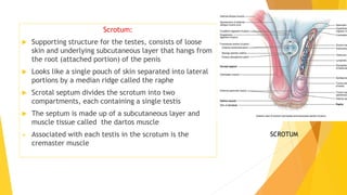 HAP 8 semester 2 PCI FIRST YEAR BPHARMACY | PPTX