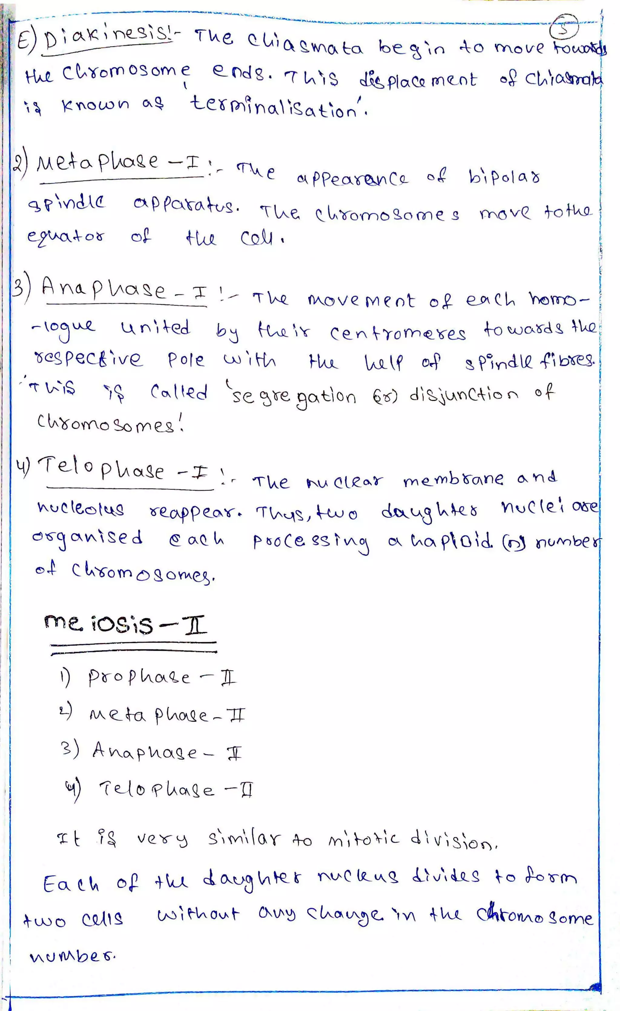 Hap assignment cell division. | PDF