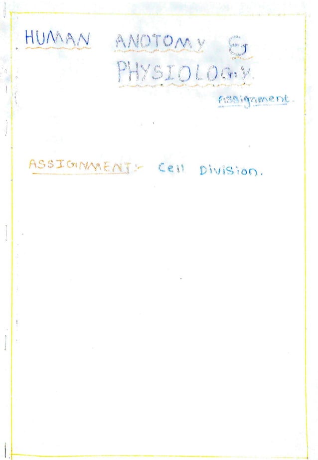 Hap assignment cell division. | PDF