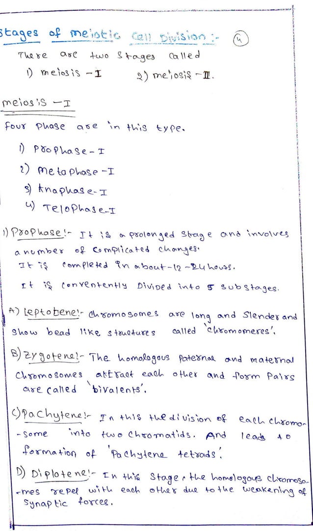 Hap assignment cell division. | PDF