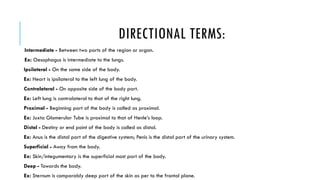 HUMAN ANATOMY AND PHYSIOLOGY CHAPTER 1.pptx