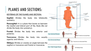 HUMAN ANATOMY AND PHYSIOLOGY CHAPTER 1.pptx