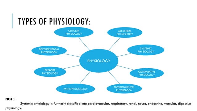 HUMAN ANATOMY AND PHYSIOLOGY CHAPTER 1.pptx