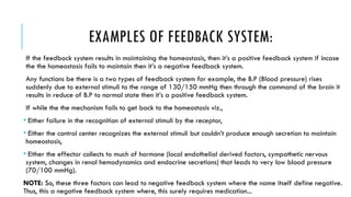 HUMAN ANATOMY AND PHYSIOLOGY CHAPTER 1.pptx
