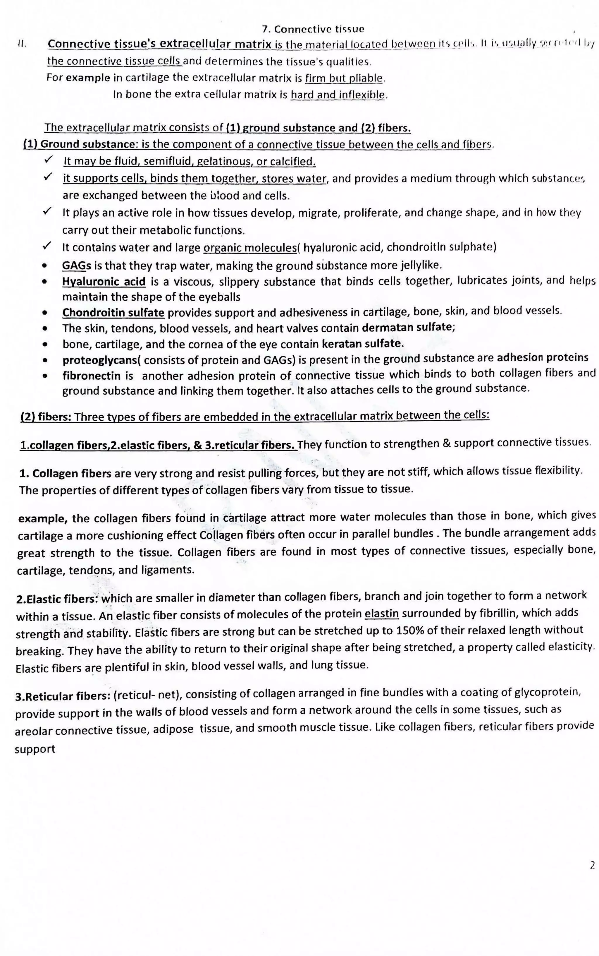 Hap connective tissue. | PDF