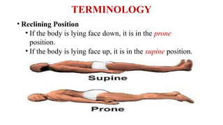 Human Anatomy and physilogy prepared by Mr. Abhay Joshi Intro.pptx