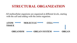 Human Anatomy and physilogy prepared by Mr. Abhay Joshi Intro.pptx