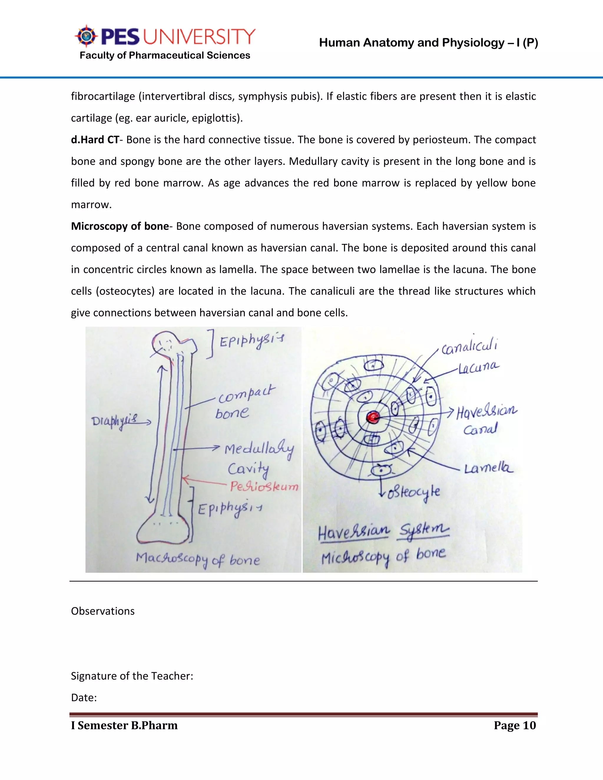 HAP I (P) lab manual | PDF