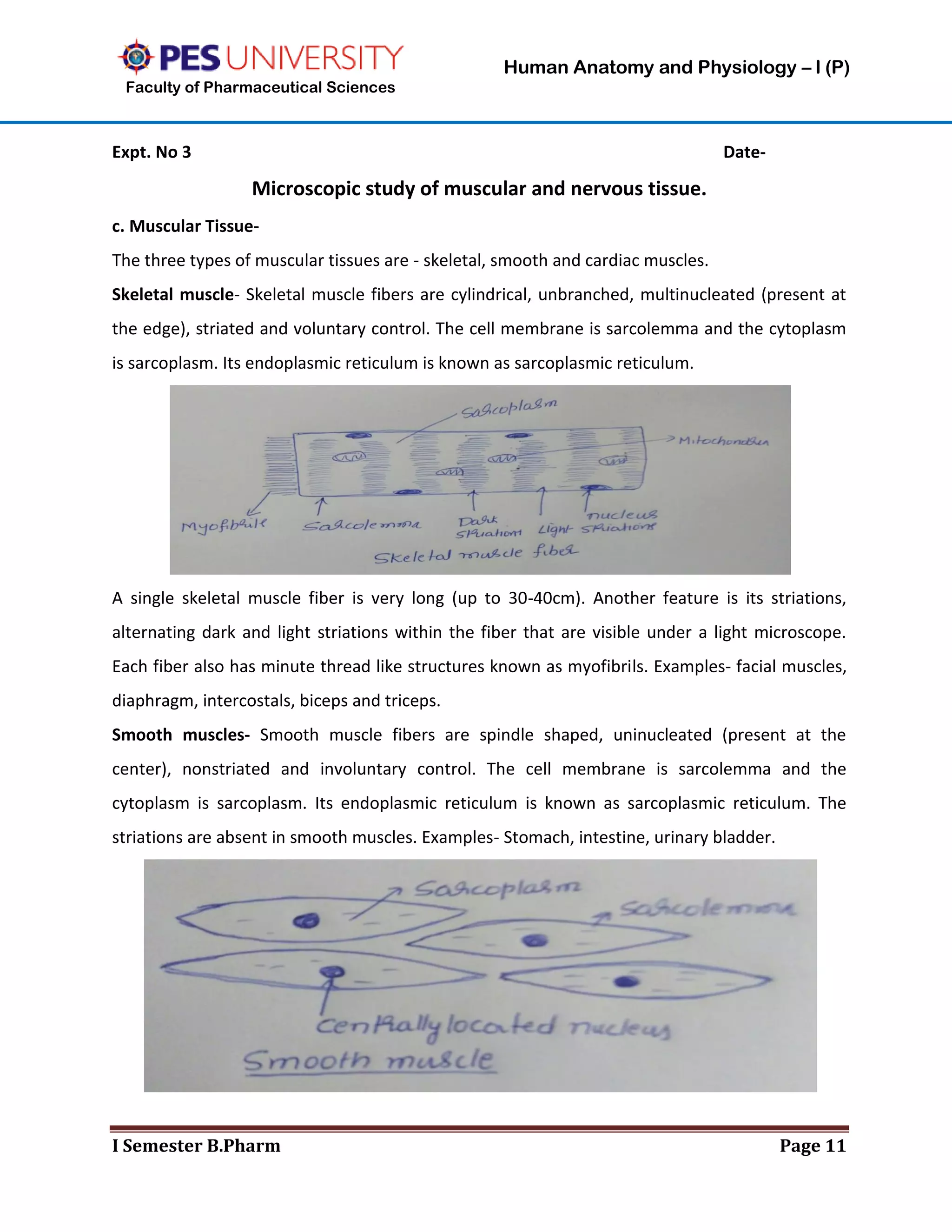 HAP I (P) lab manual | PDF