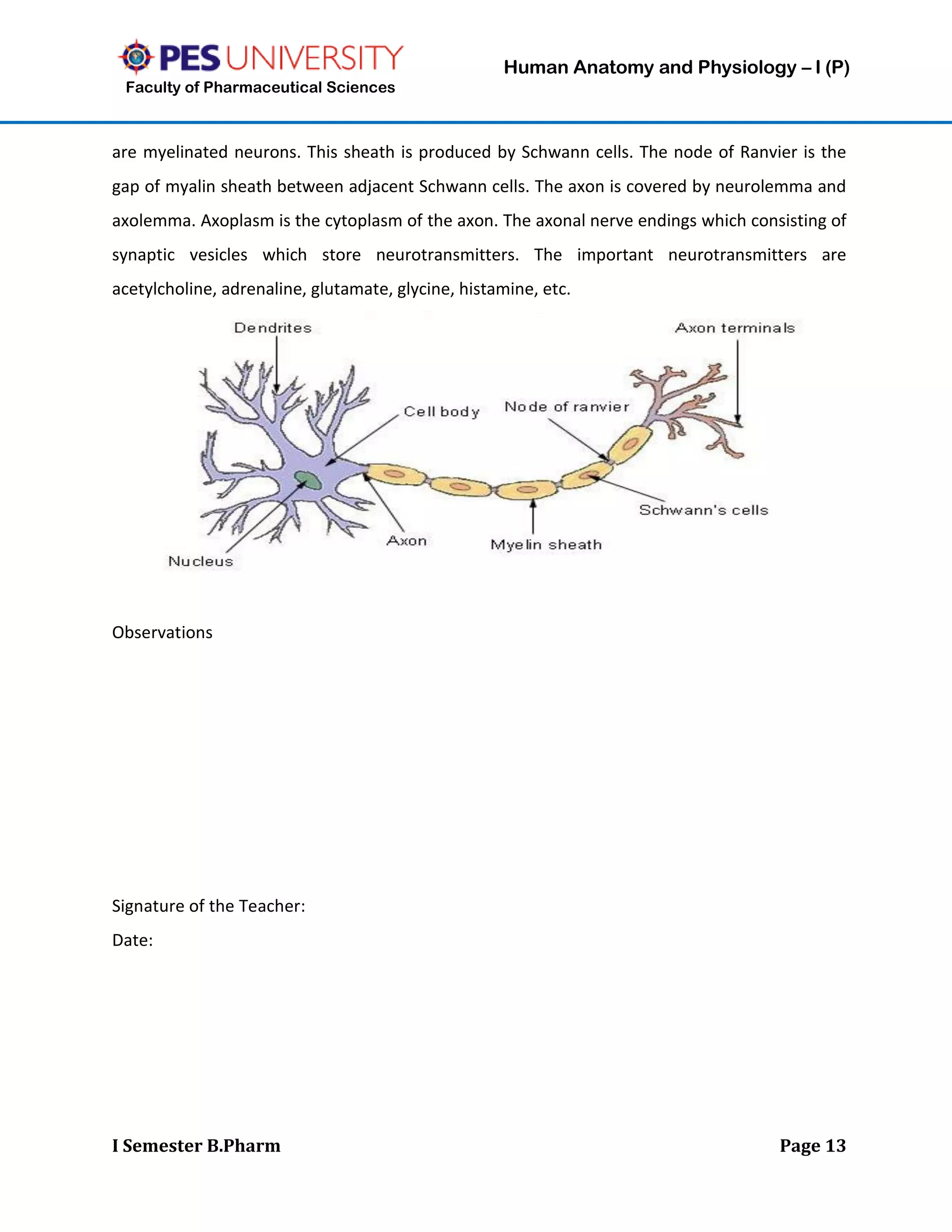 HAP I (P) lab manual | PDF