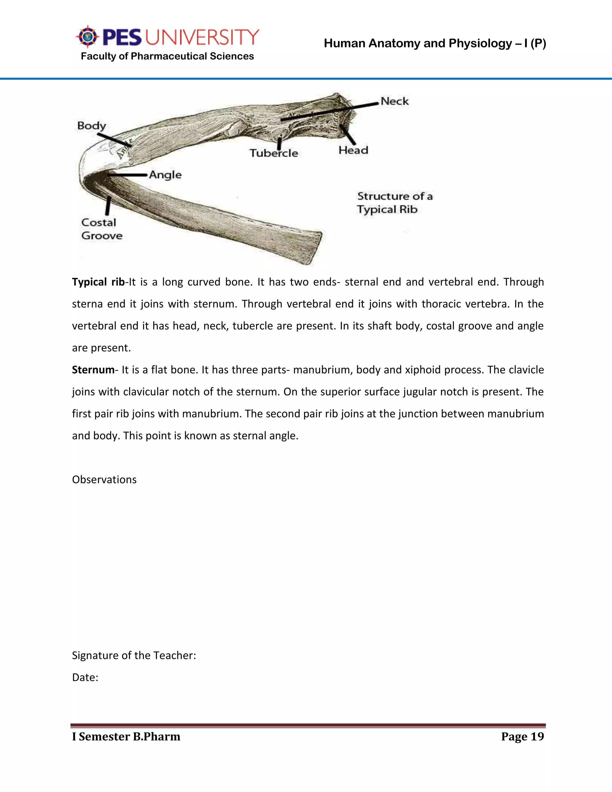 HAP I (P) lab manual | PDF