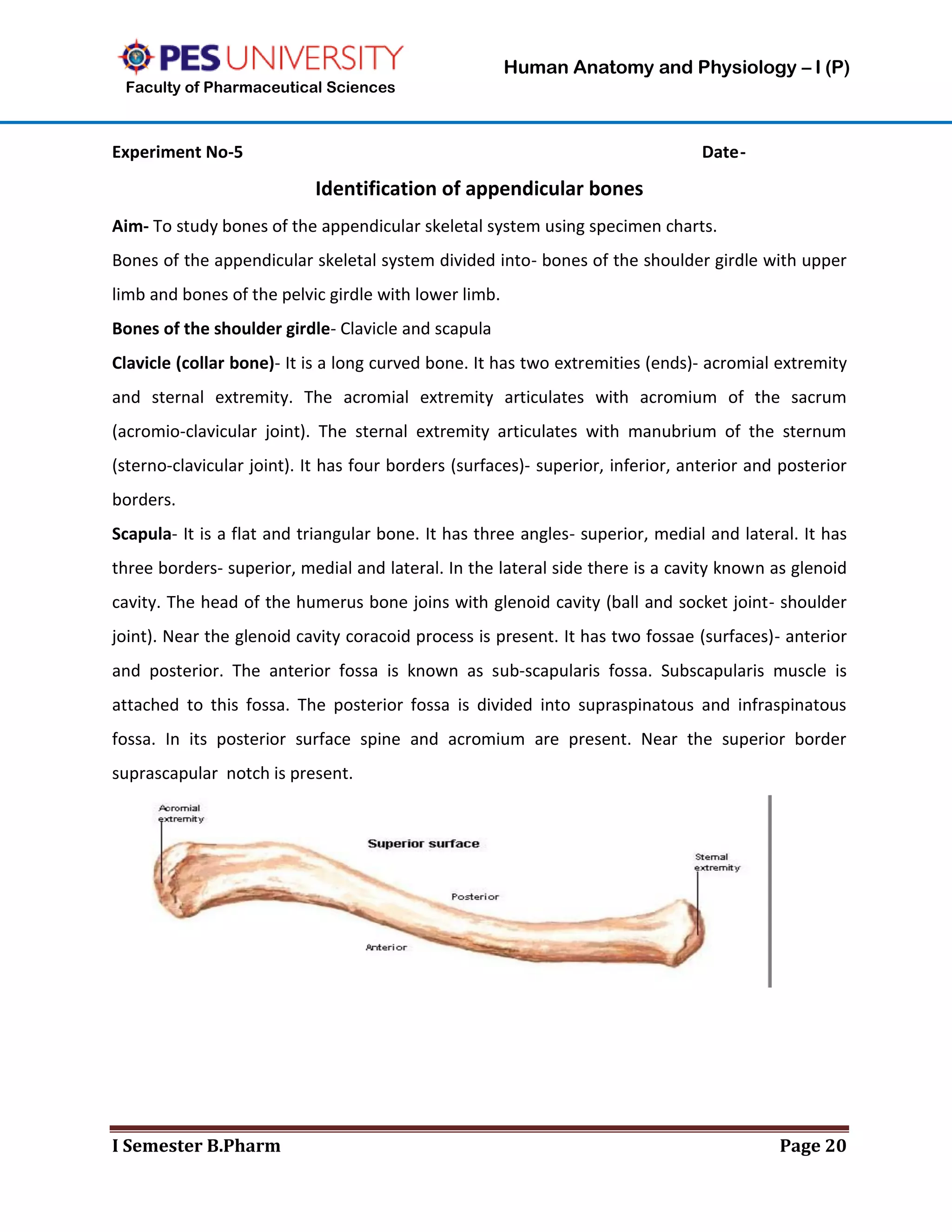 HAP I (P) lab manual | PDF