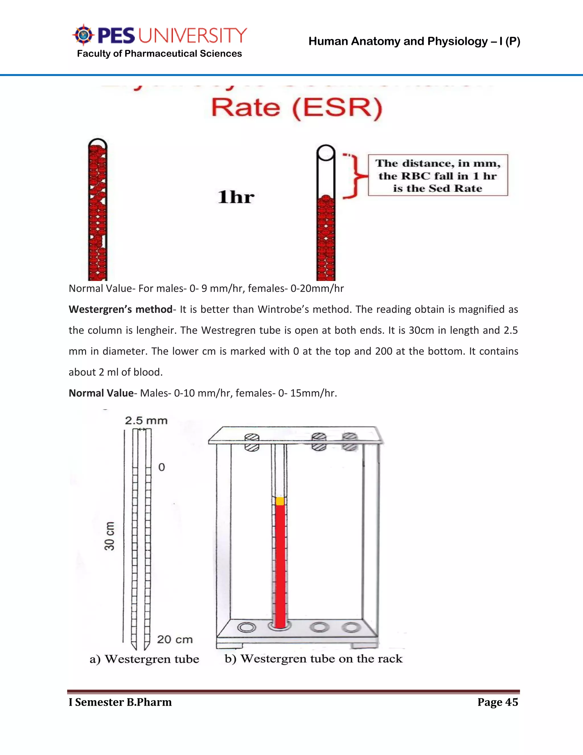 HAP I (P) lab manual | PDF