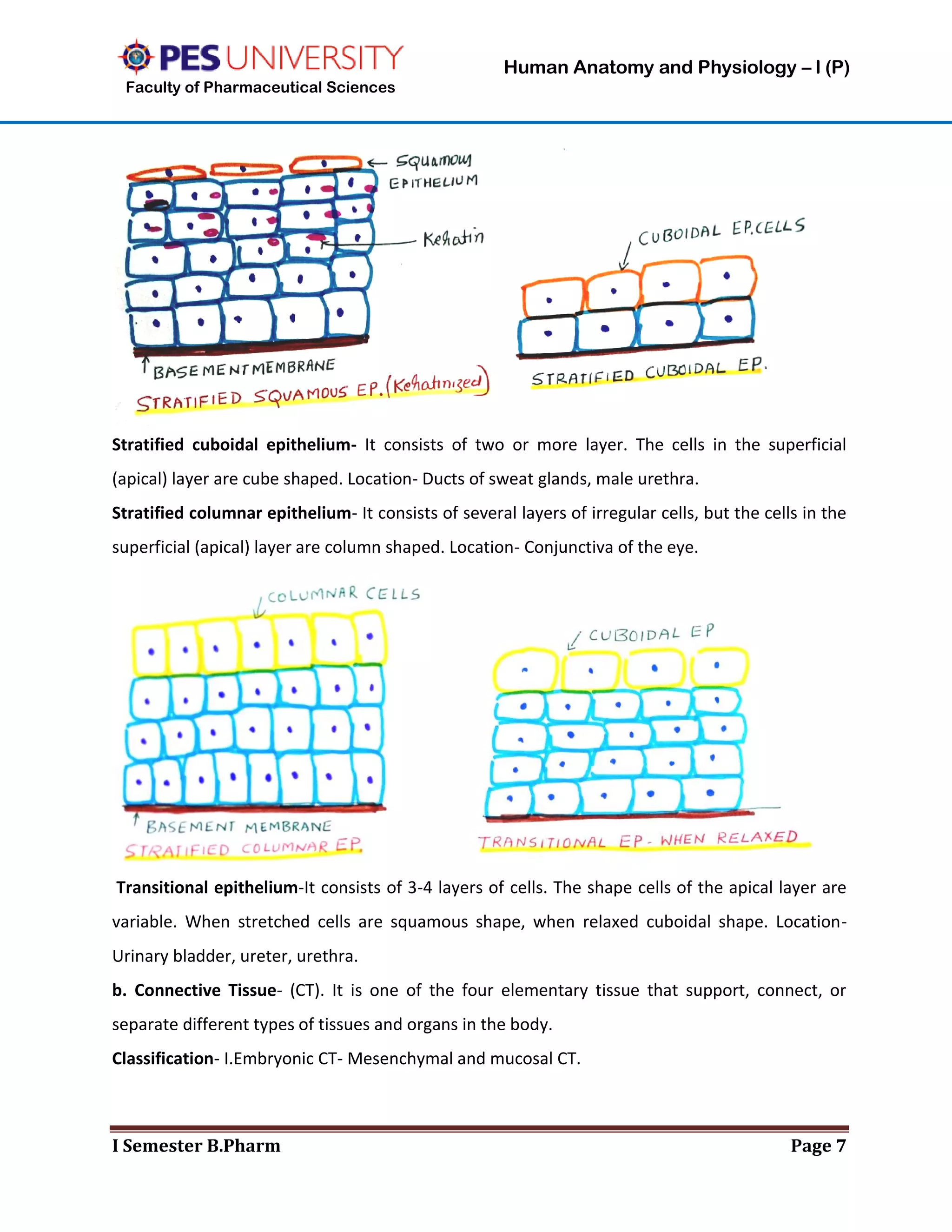 HAP I (P) lab manual | PDF