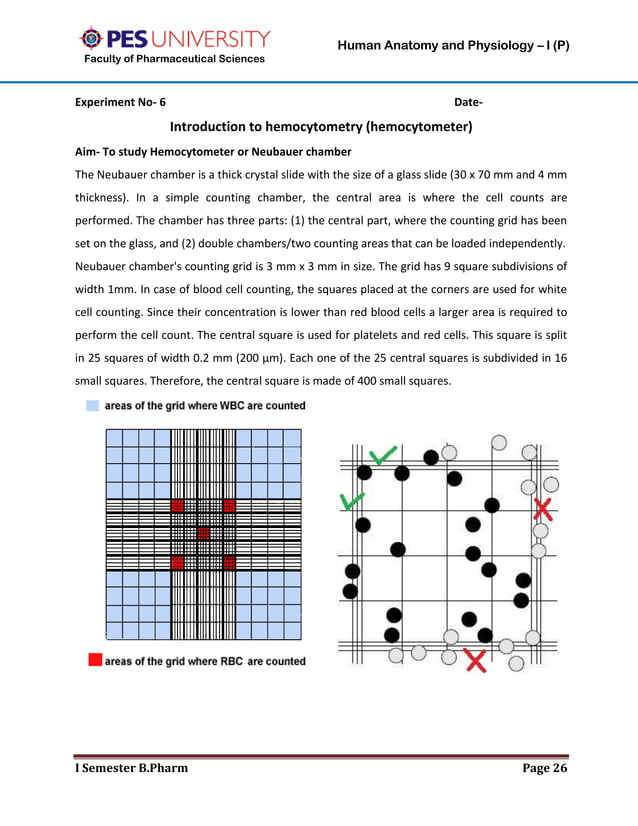 HAP I (P) lab manual | PDF | Death, Injury, or Military Conflict ...