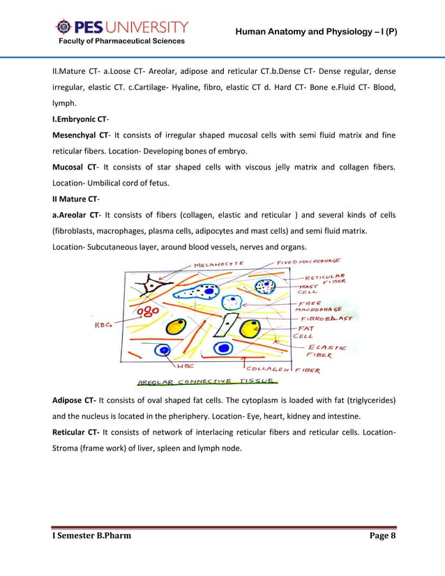 HAP I (P) lab manual | PDF | Death, Injury, or Military Conflict | Sensitive Topics