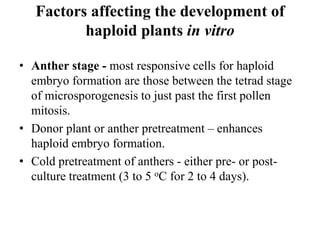 haploid.ppt