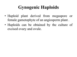 haploid.ppt