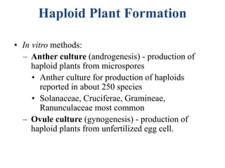 haploid.ppt