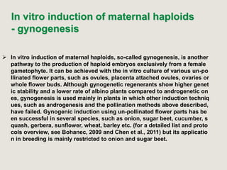 Haploid and double haploid Production and their roles in crop ...