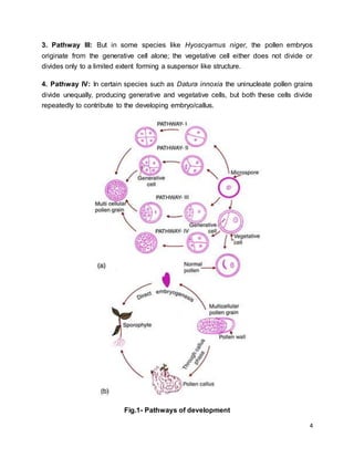 Haploid culture final | DOCX