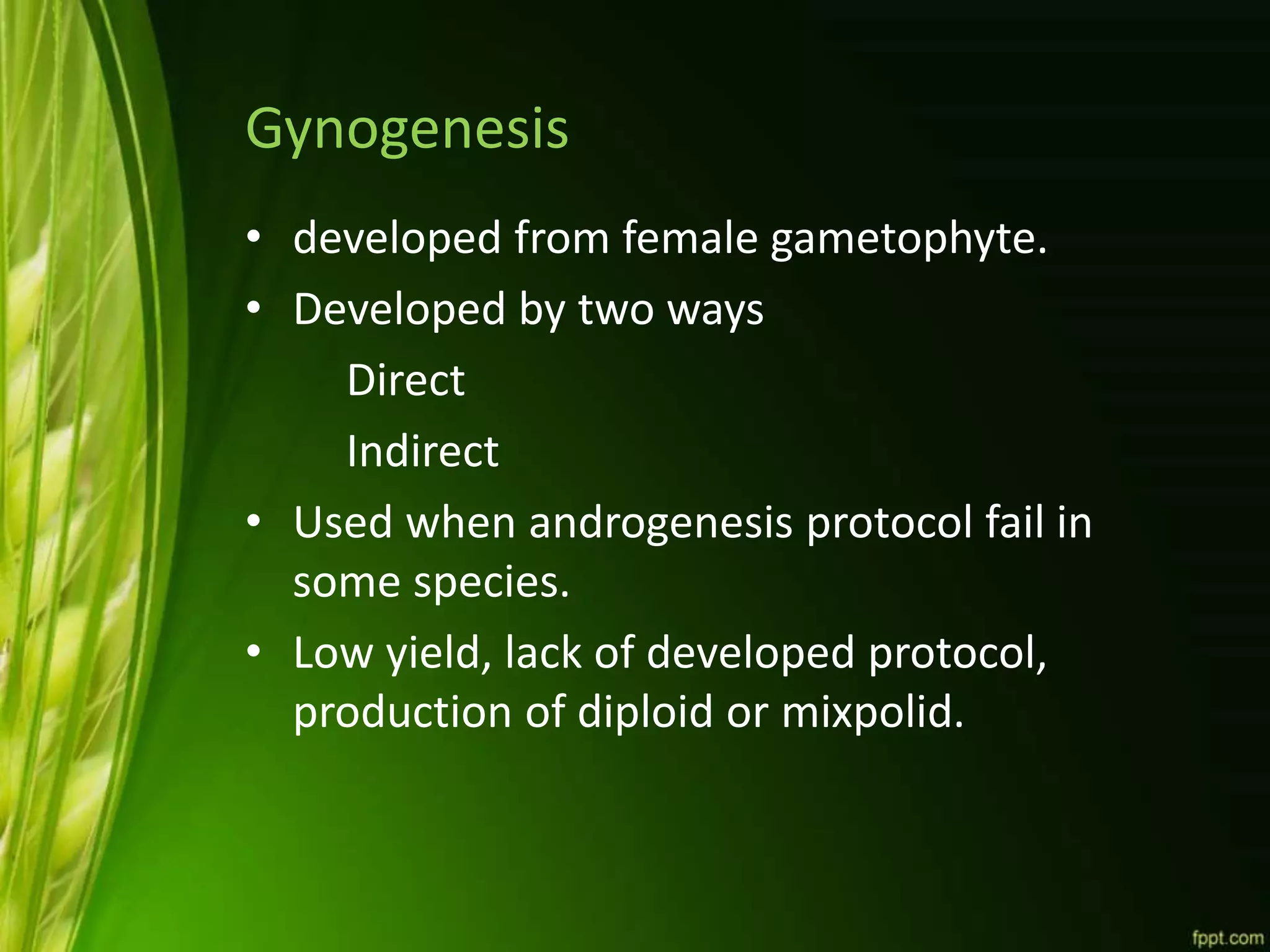 Haploid culture (short description) | PPTX