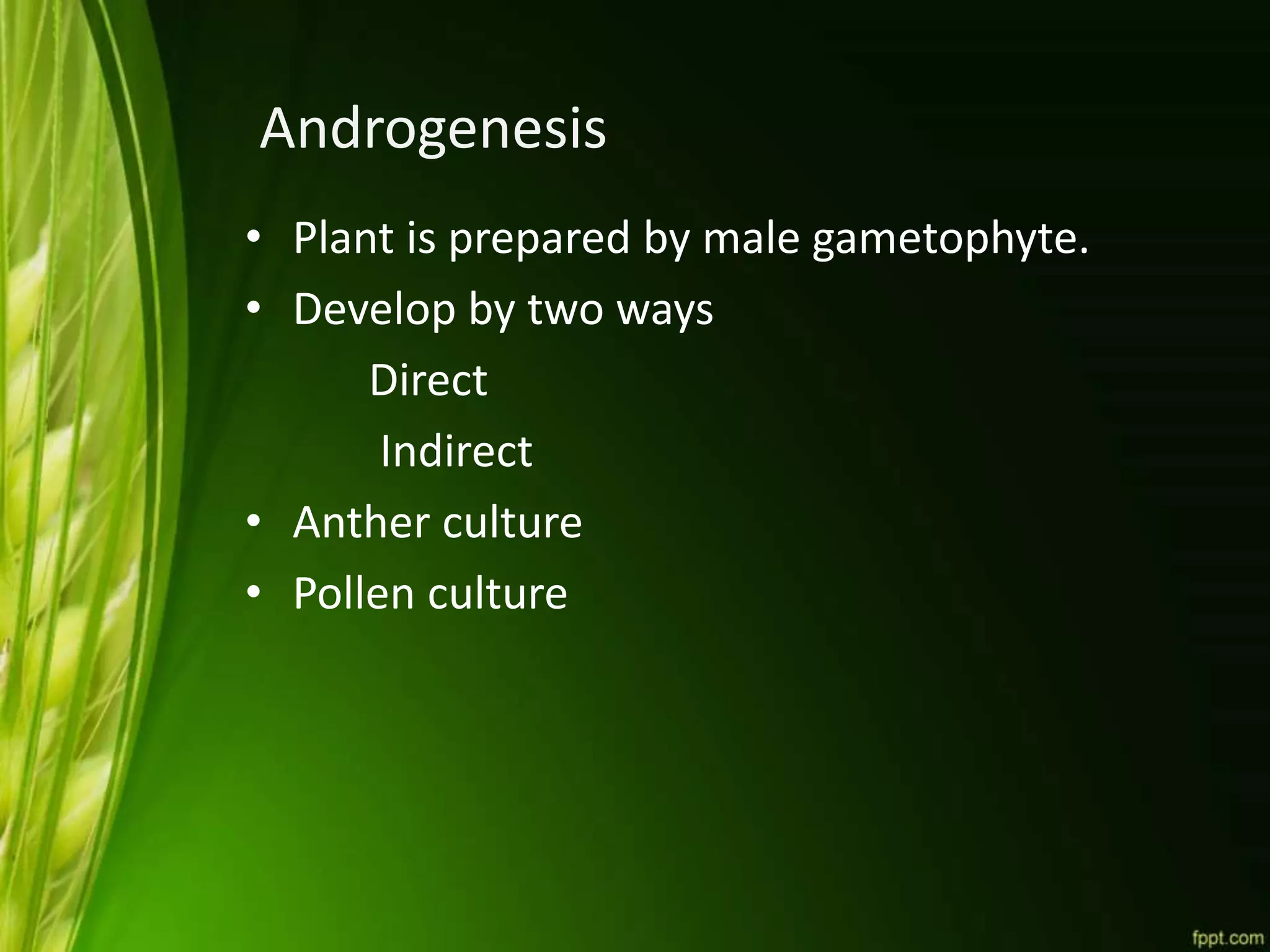 Haploid culture (short description) | PPTX