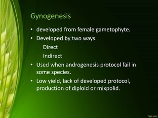 Haploid culture (short description) | PPTX