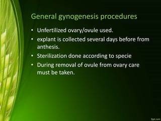 Haploid culture (short description) | PPTX