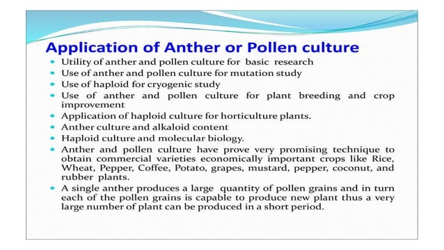 haploid induction.pptx for commercial breeding | PPTX
