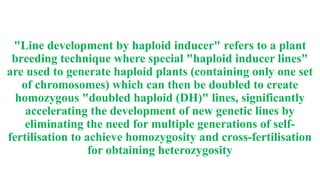 haploid induction.pptx for commercial breeding | PPTX