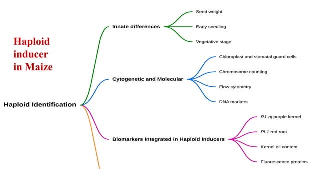 haploid induction.pptx for commercial breeding | PPTX