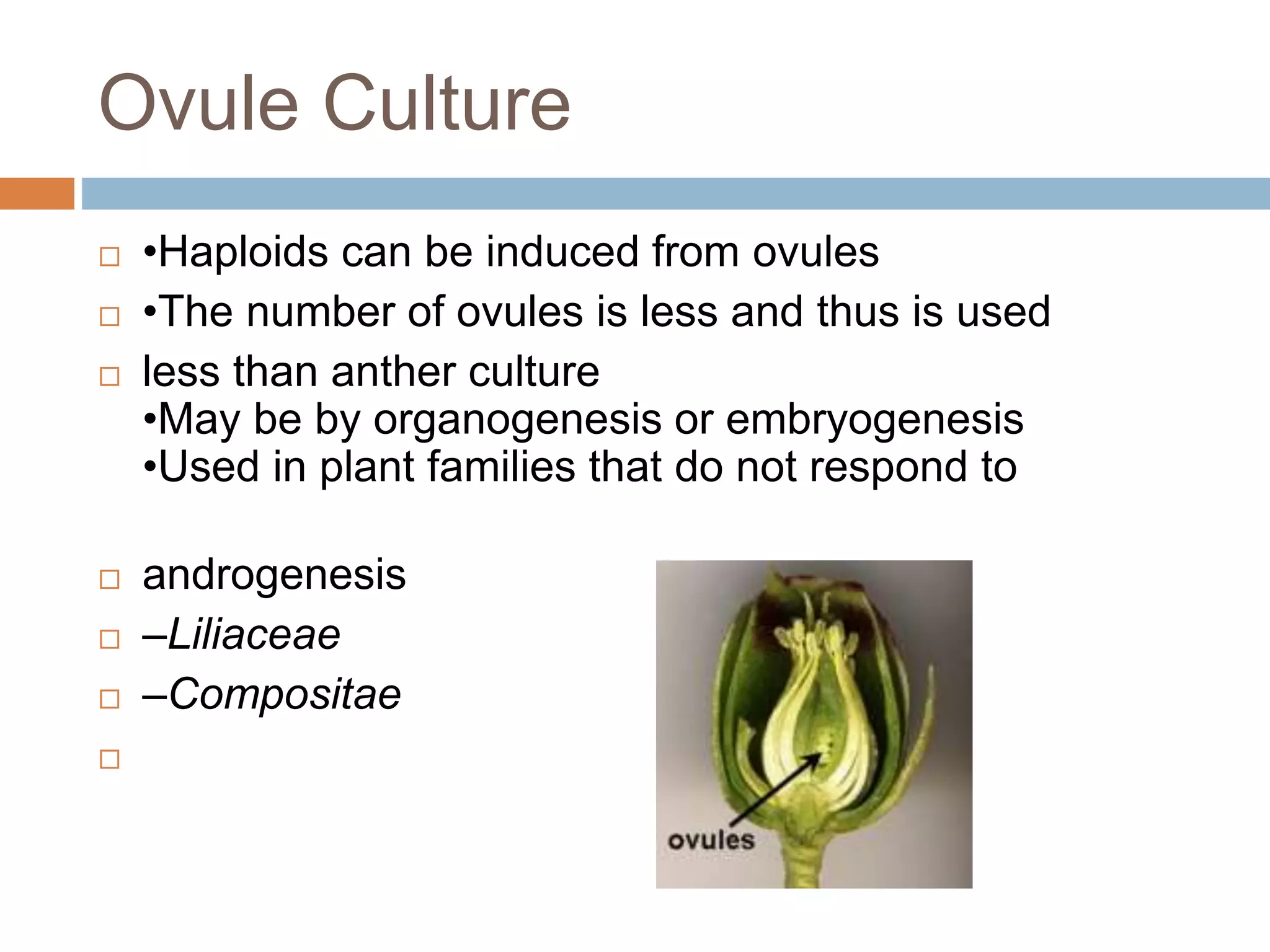 HAPLOID PLANT_E-CONTENT.ppt