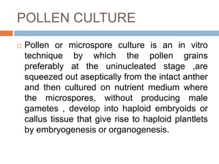 HAPLOID PLANT_E-CONTENT.ppt