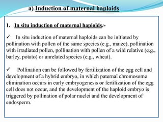 Haploid production | PPTX