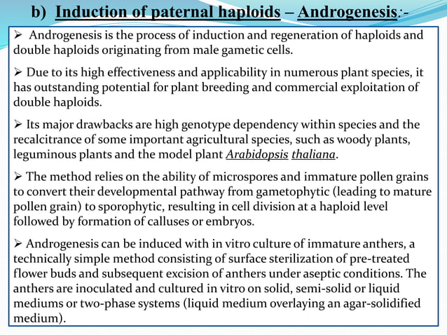 Haploid production | PPTX