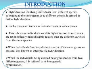 Haploid production | PPTX