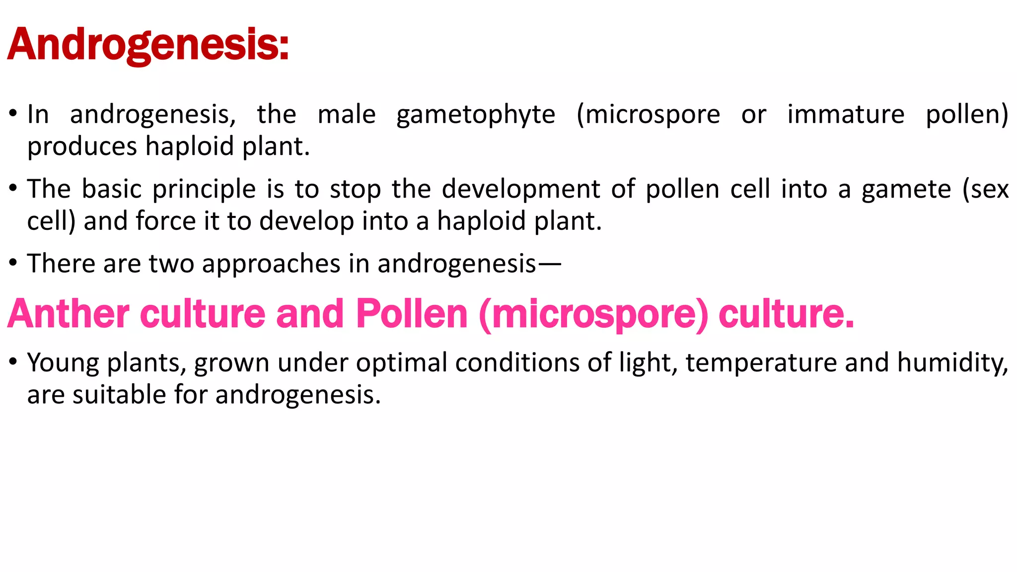 haploid production.pptx
