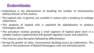 haploid production.pptx