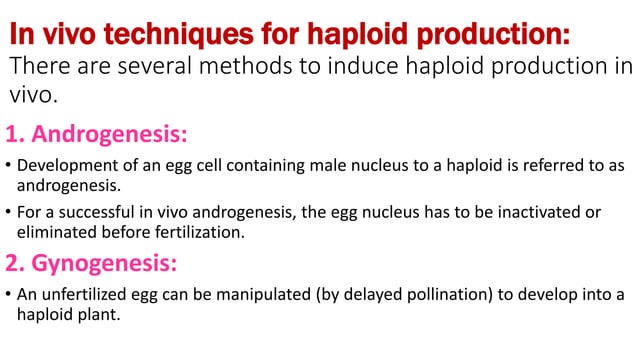 haploid production.pptx
