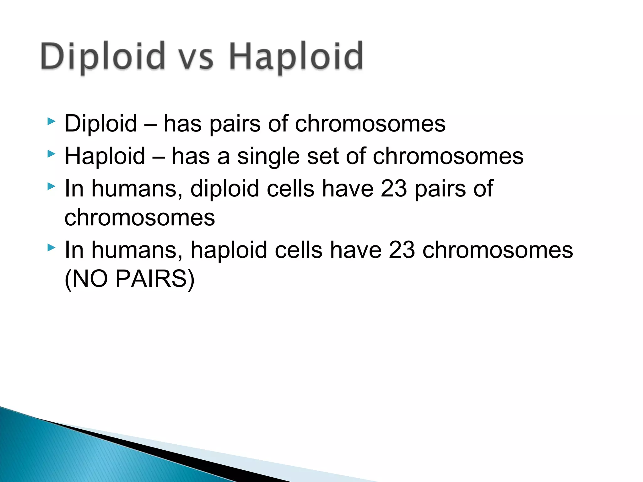 Haploid vs diploid cells | PPT