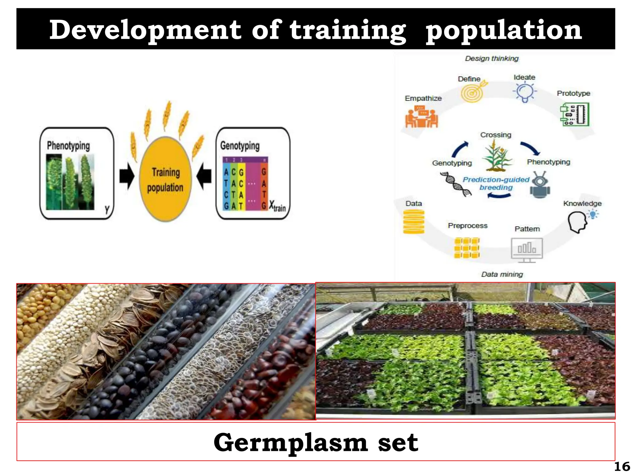 Haplotype based genomic selection for precision plant breeding | PPTX