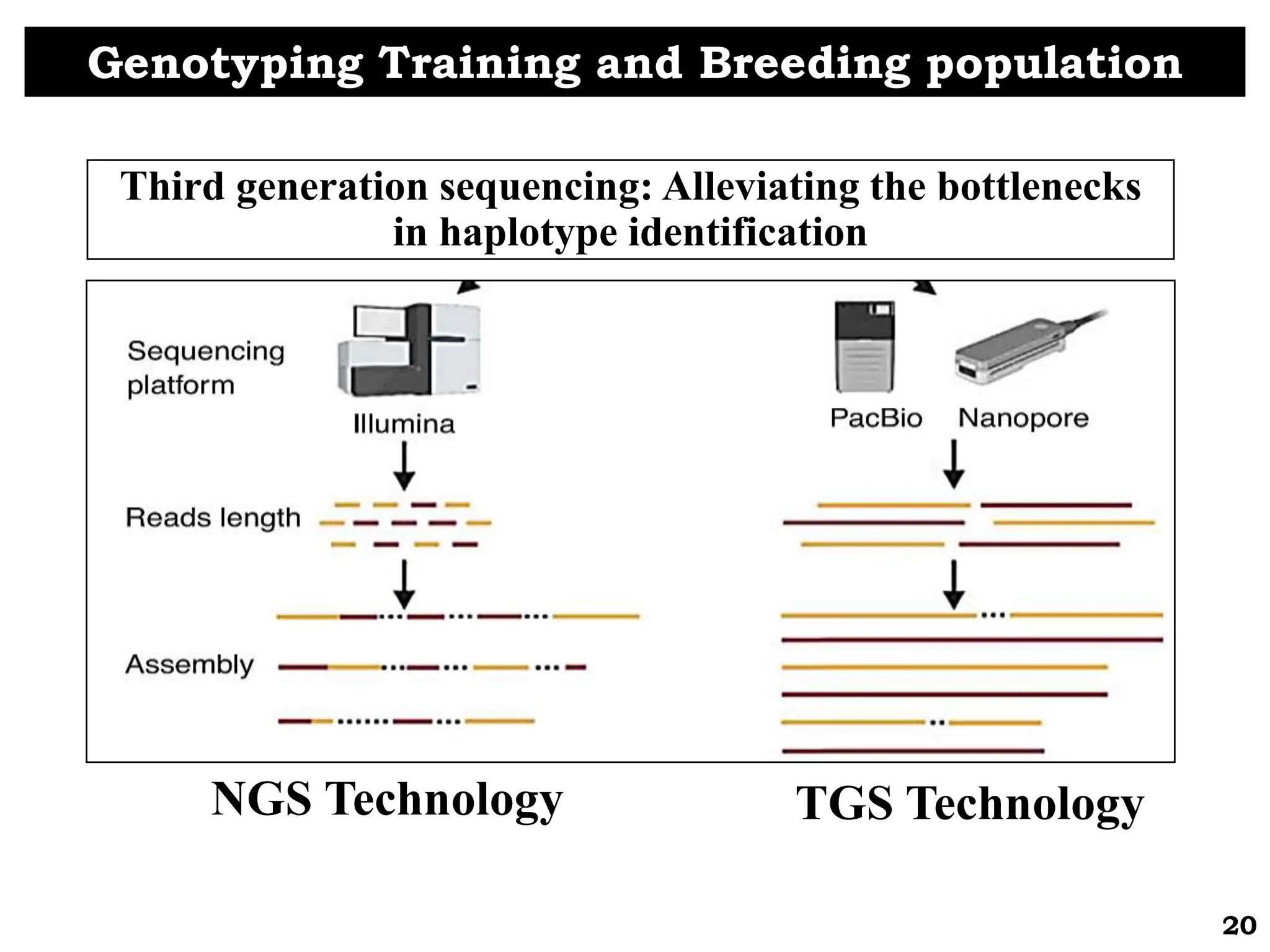 Haplotype based genomic selection for precision plant breeding | PPTX