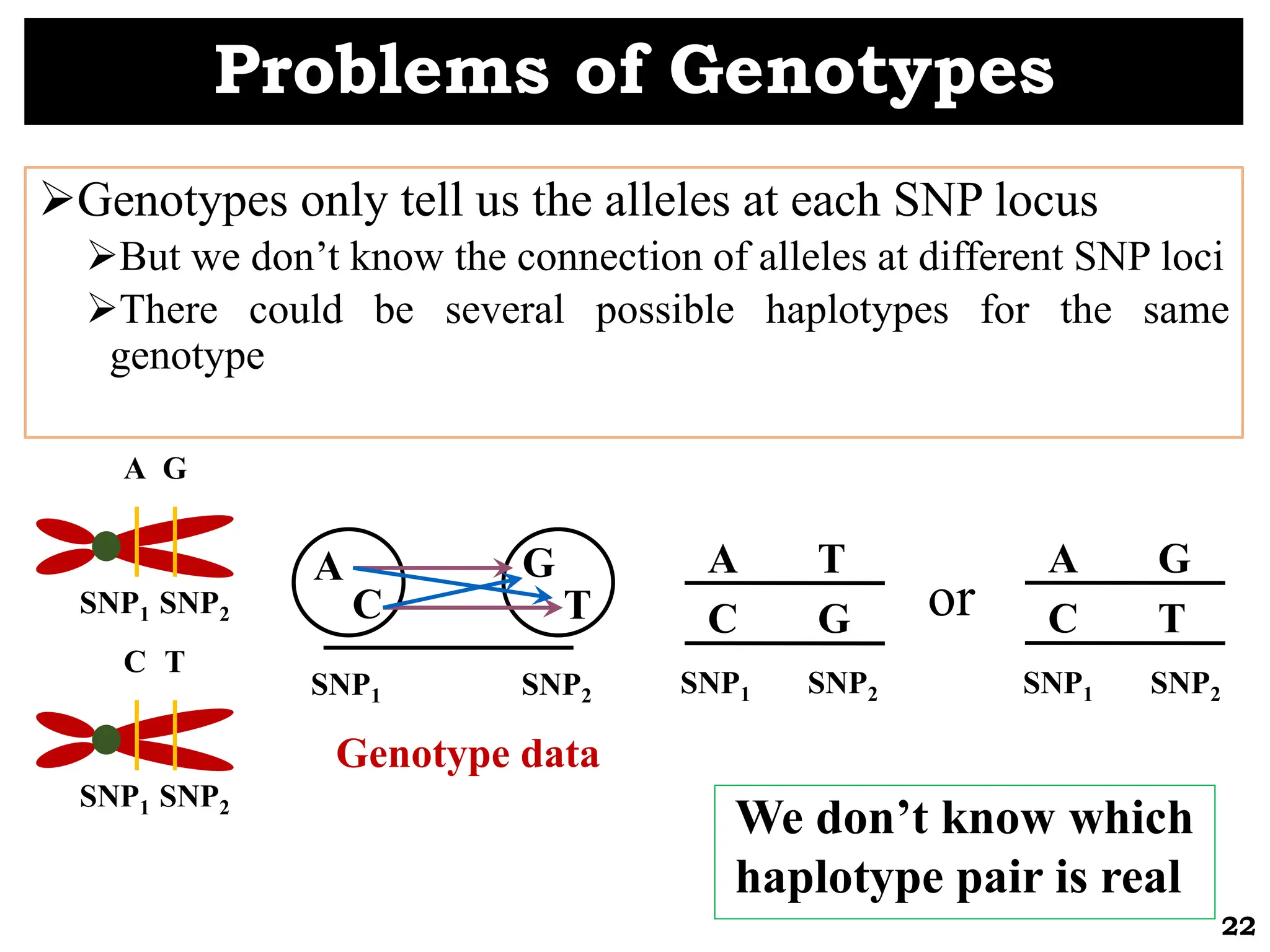 Haplotype based genomic selection for precision plant breeding | PPTX