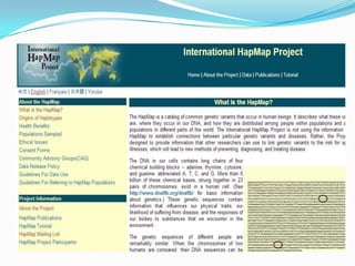 Hapmap veritabanı | PPTX